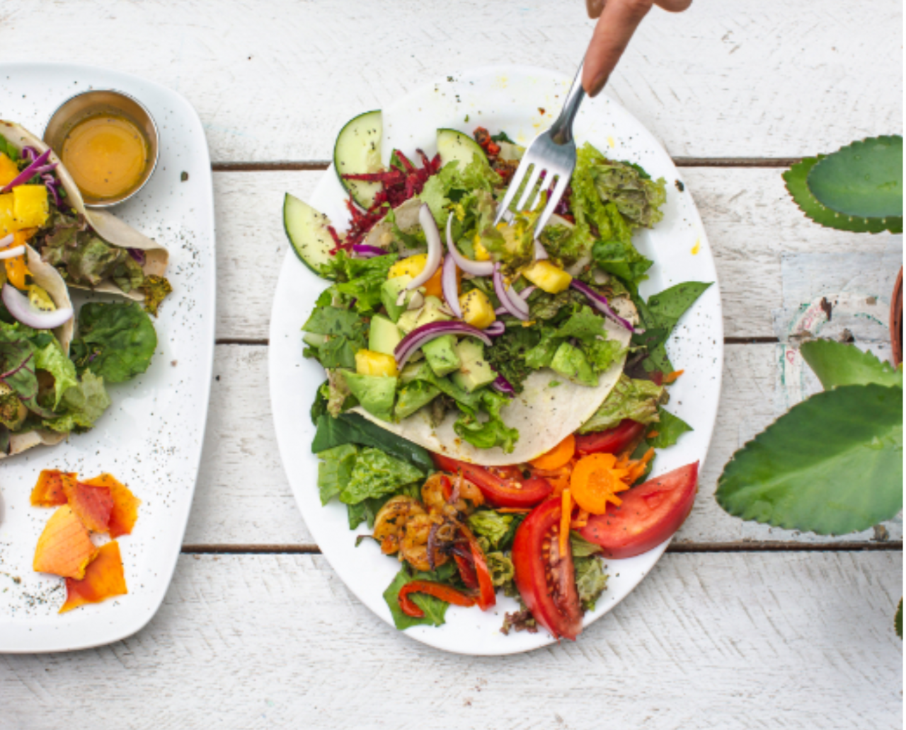 Calling all Foodies: The best all-inclusive resorts | Bridie Travel